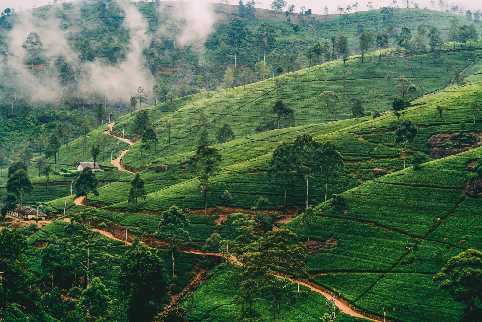 10 Best Places To Visit In Sri Lanka | Away and Far 10 Best Places To Visit In Sri Lanka | Away and Far